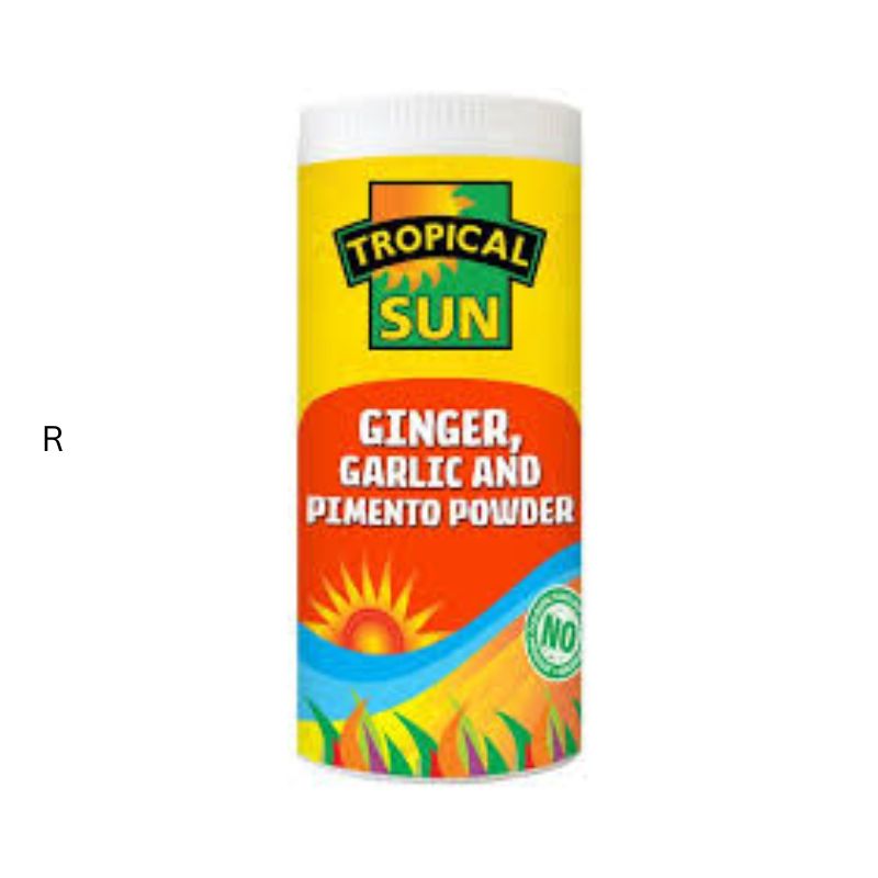 TS GINGER,GARLIC AND PIMENTO POWDER - SVL Foods
